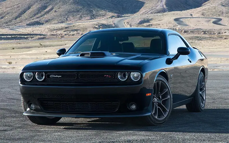 Custom Order | Champion Alfa Romeo